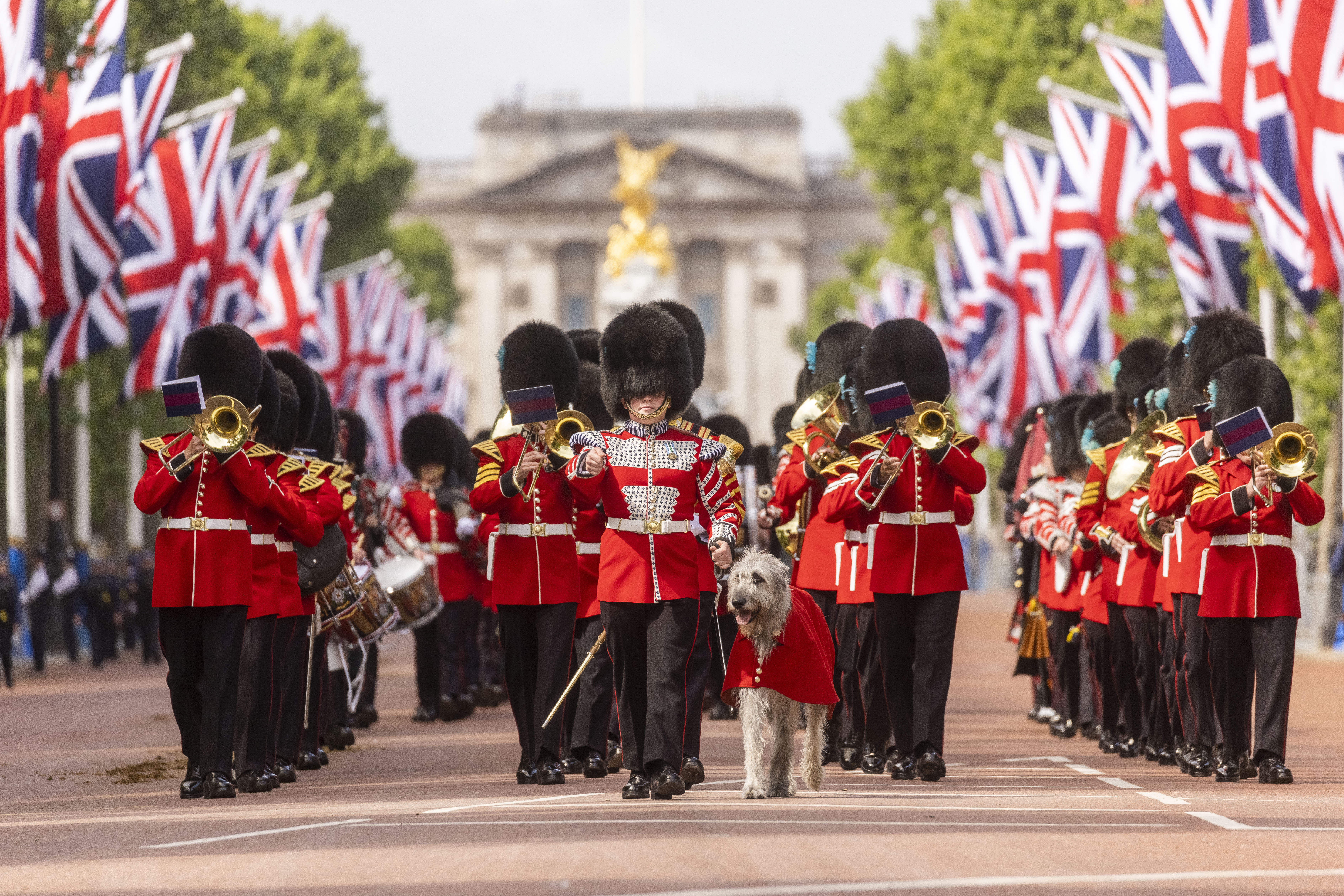 The Five Foot Guards Regiments | The Guards Museum